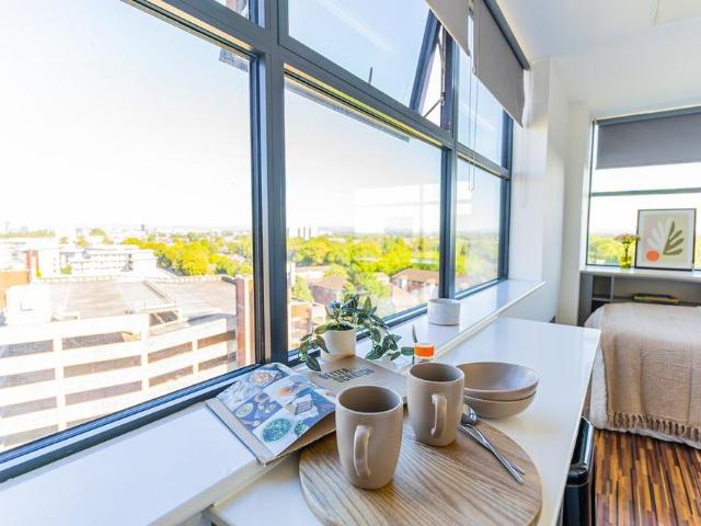 1 bedroom apartment to rent