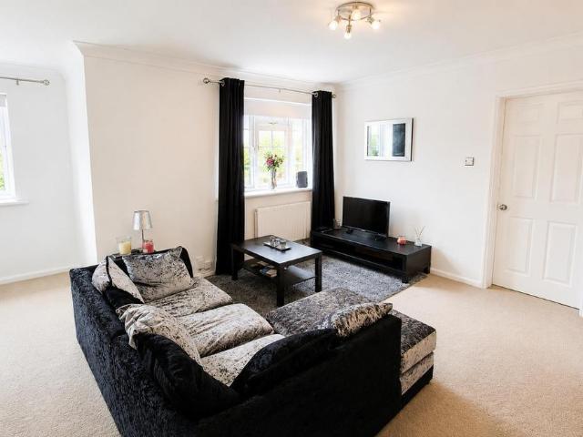 1 bedroom apartment to rent