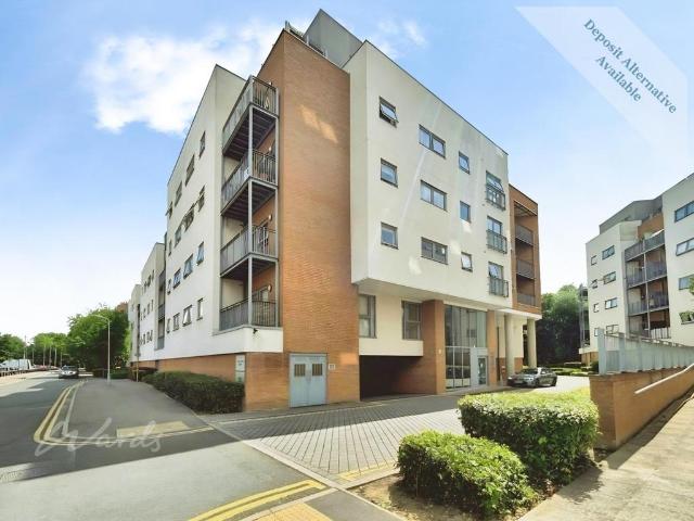 1 bedroom apartment to rent