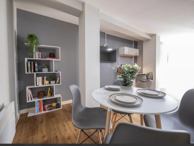1 bedroom apartment to rent