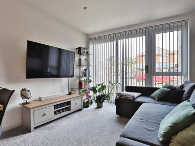 1 bedroom apartment to rent