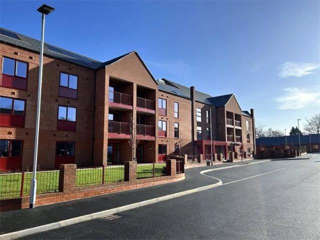 1 bedroom apartment to rent