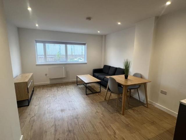 1 bedroom apartment to rent
