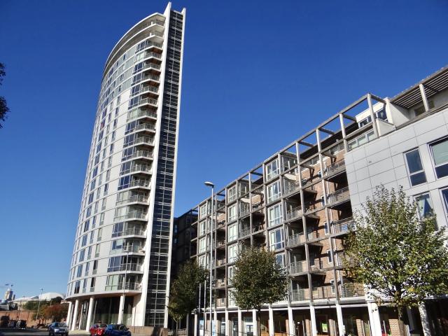 1 bedroom apartment to rent
