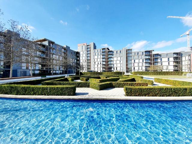 1 bedroom apartment to rent