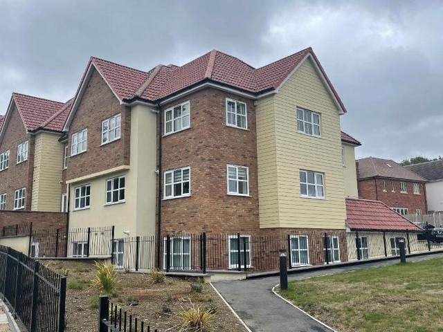 1 bedroom apartment to rent