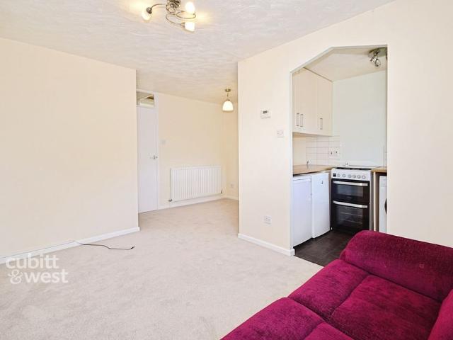 1 bedroom apartment to rent