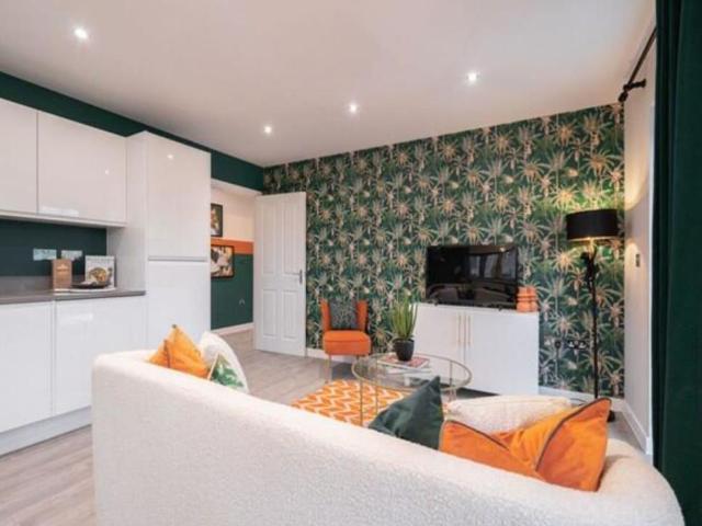 1 bedroom apartment to rent