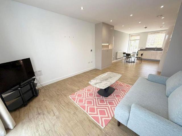 1 bedroom apartment to rent