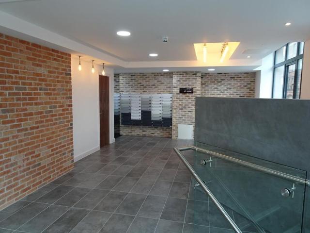 1 bedroom apartment to rent