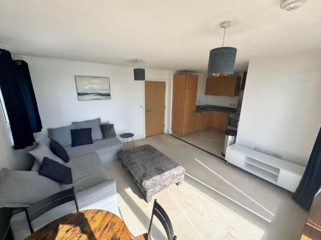 1 bedroom apartment to rent