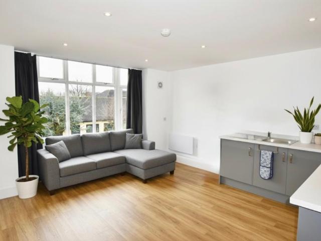 1 bedroom apartment to rent