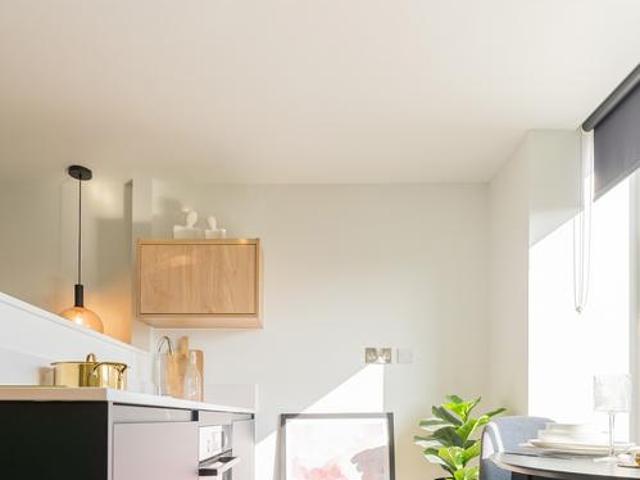 1 bedroom apartment to rent
