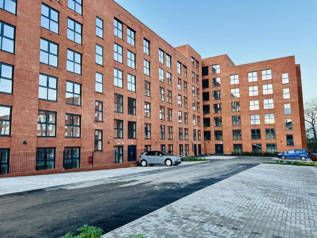 1 bedroom apartment to rent