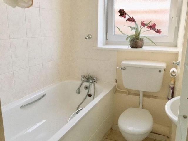 1 bedroom apartment to rent