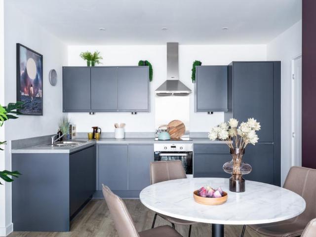 1 bedroom apartment to rent