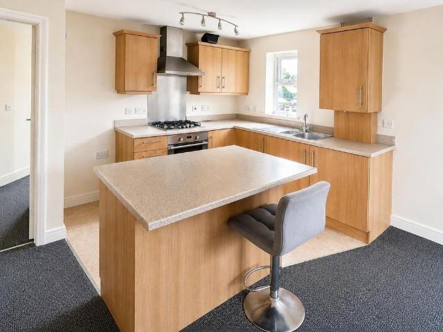 1 bedroom apartment to rent