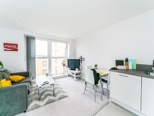 1 bedroom apartment to rent