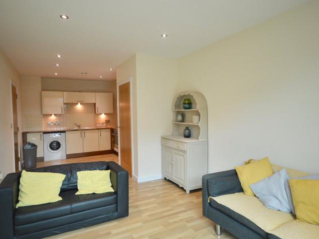 1 bedroom apartment to rent