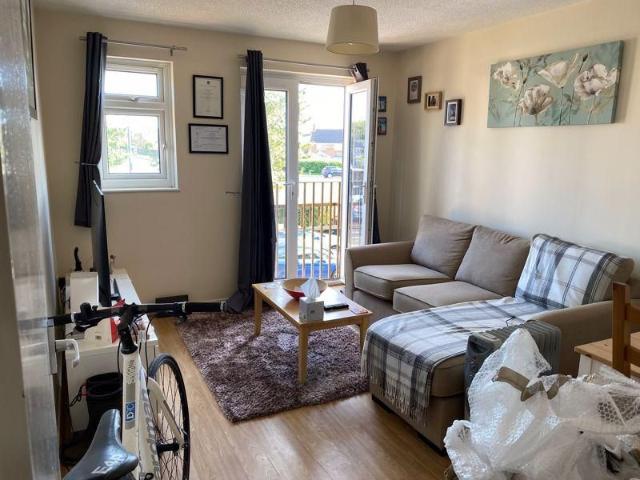 1 bedroom apartment to rent