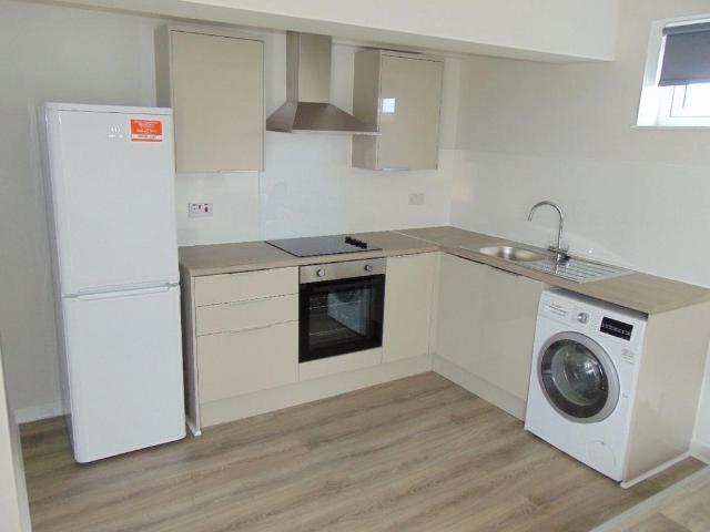 1 bedroom apartment to rent