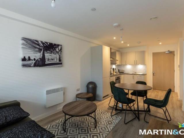 1 bedroom apartment to rent