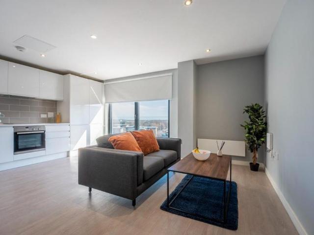 1 bedroom apartment to rent