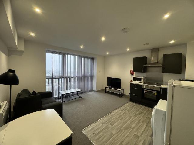 1 bedroom apartment to rent