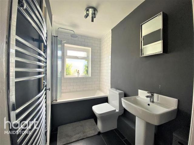 1 bedroom apartment to rent