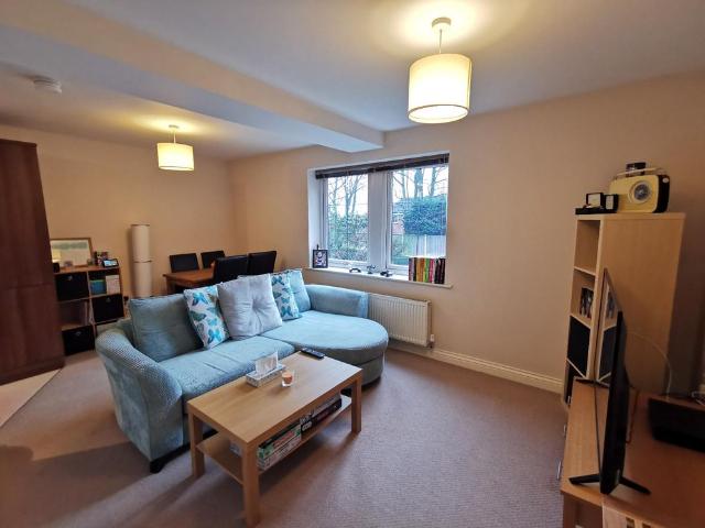 1 bedroom apartment to rent