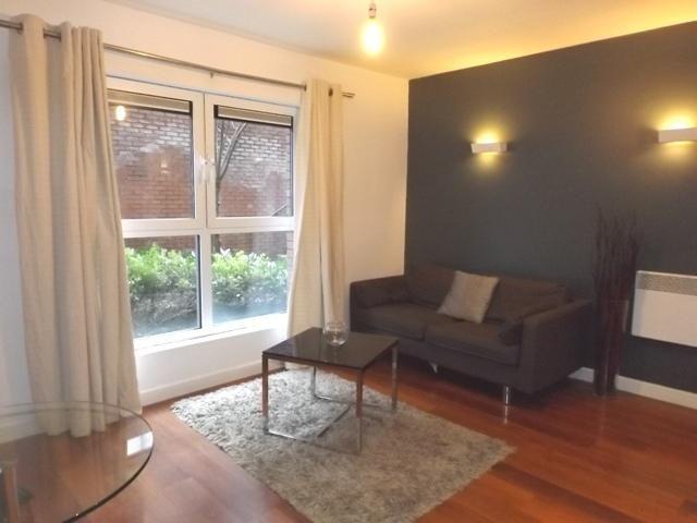 1 bedroom apartment to rent