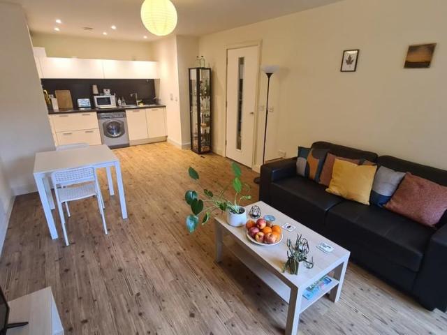 1 bedroom apartment to rent