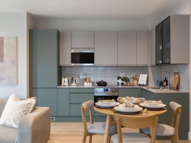 1 bedroom apartment to rent