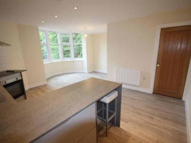 1 bedroom apartment to rent