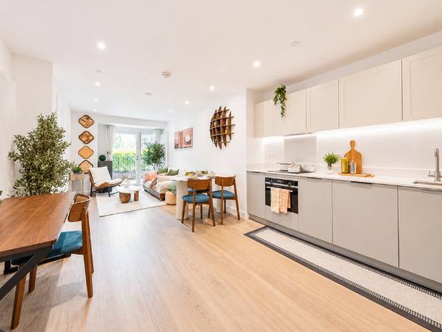 1 bedroom apartment to rent