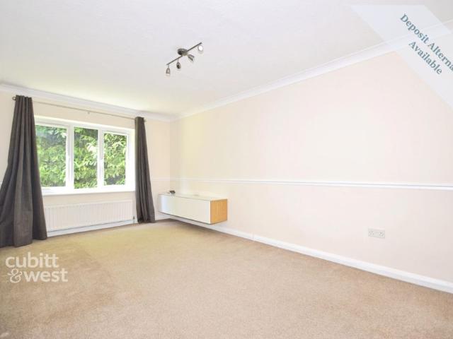 1 bedroom apartment to rent