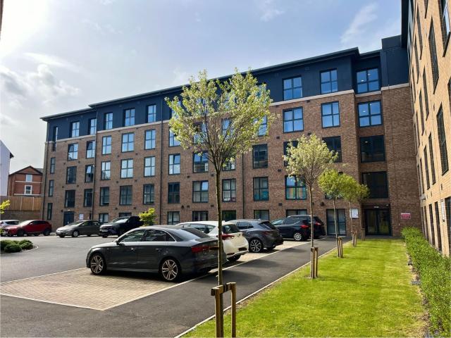 1 bedroom apartment to rent