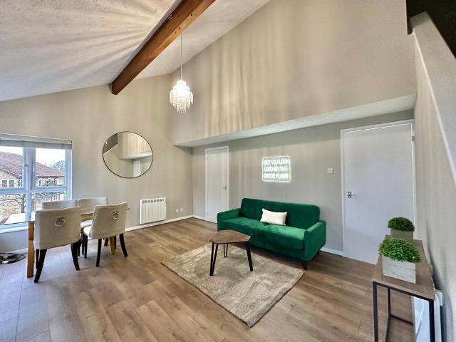 1 bedroom apartment to rent