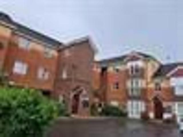 1 bedroom apartment to rent