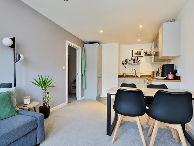 1 bedroom apartment to rent