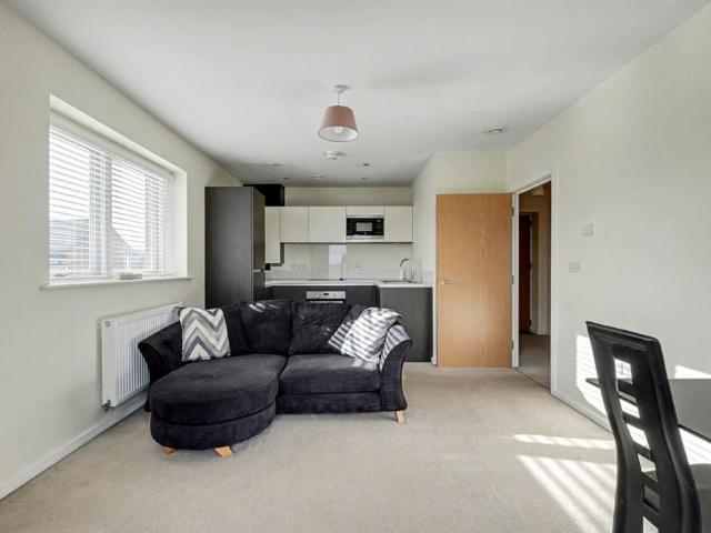 1 bedroom apartment to rent