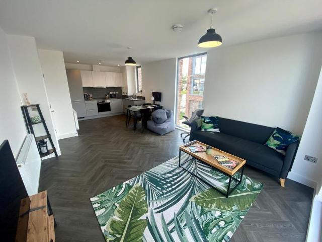 1 bedroom apartment to rent