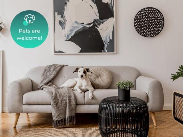 1 bedroom apartment to rent