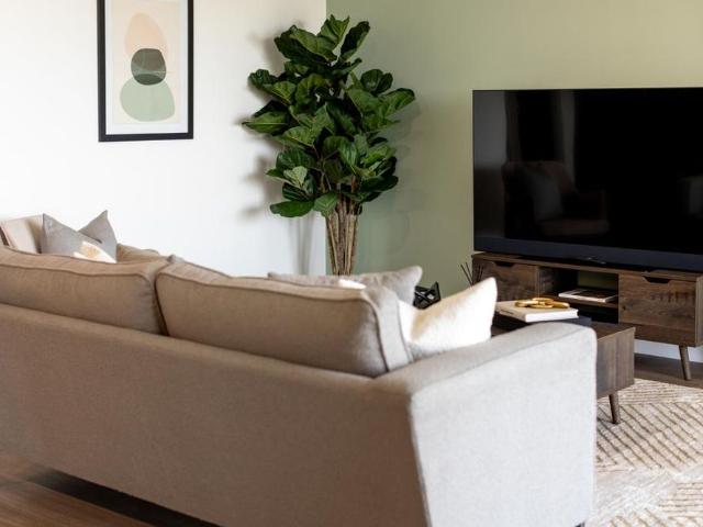 1 bedroom apartment to rent