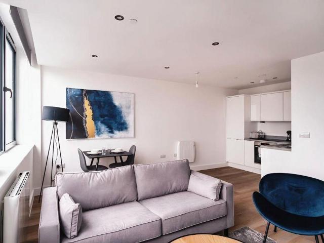 1 bedroom apartment to rent