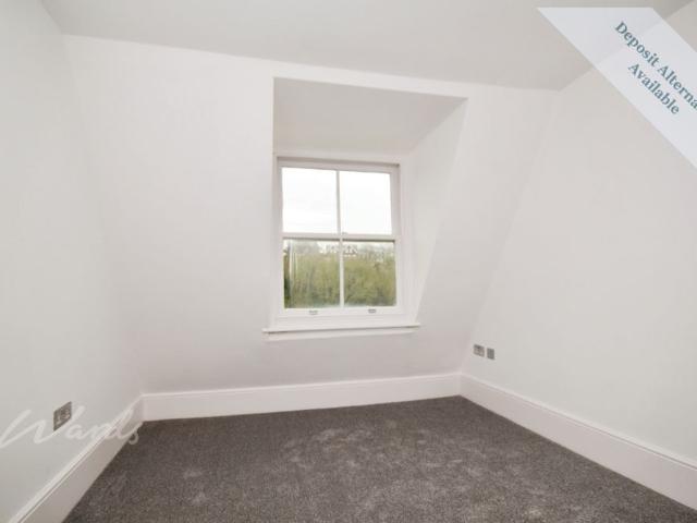 1 bedroom apartment to rent