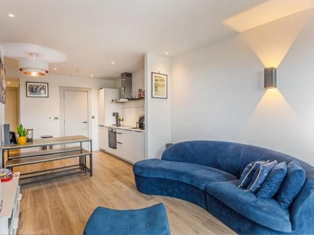 1 bedroom apartment to rent