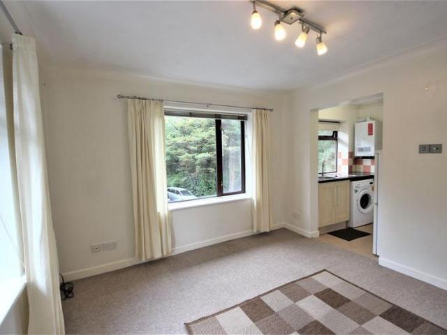 1 bedroom apartment to rent