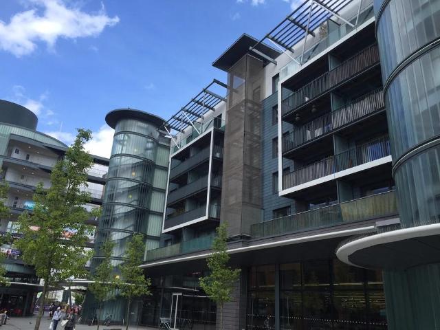 1 bedroom apartment to rent