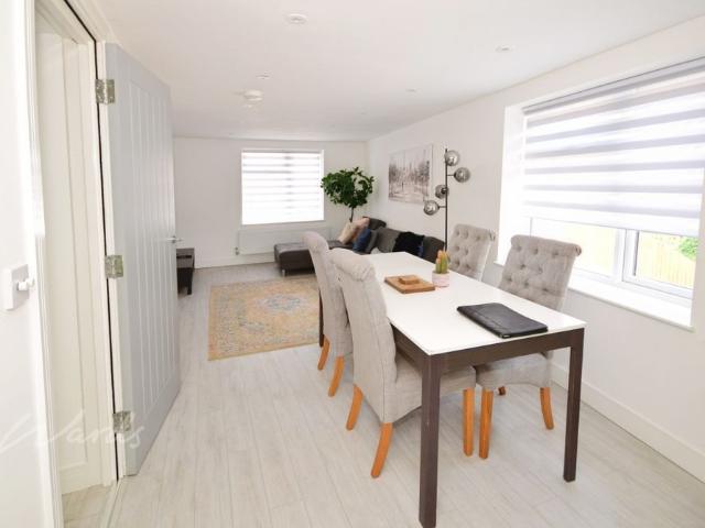 1 bedroom apartment to rent